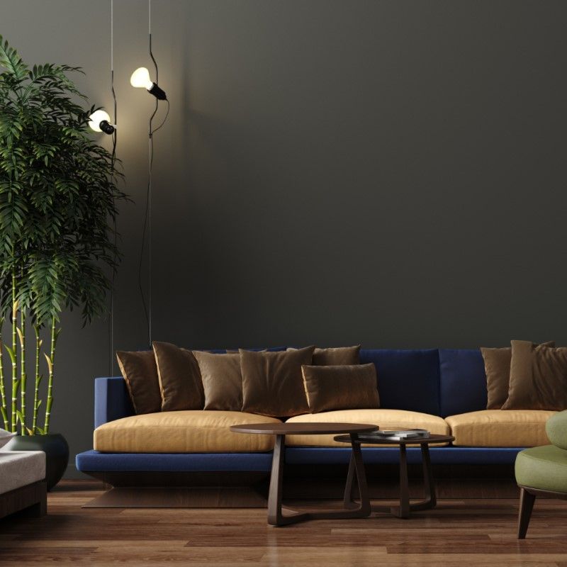 Tinted Emulsion Paint | Decorating Centre Online