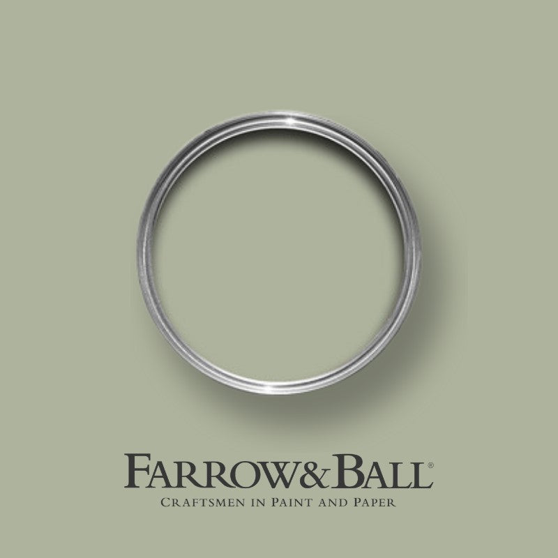 Farrow & Ball Vert de Terre No.234 | Decorating Centre Online